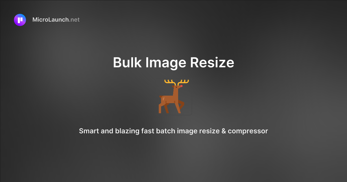 Bulk Image Resize is now on Microlaunch